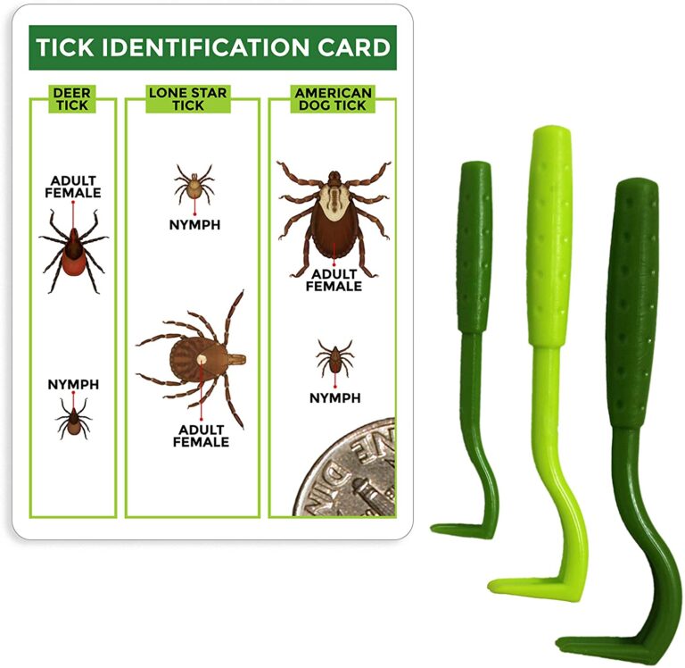 How to Treat Tick Bites in Seven Easy Steps - Never Alone